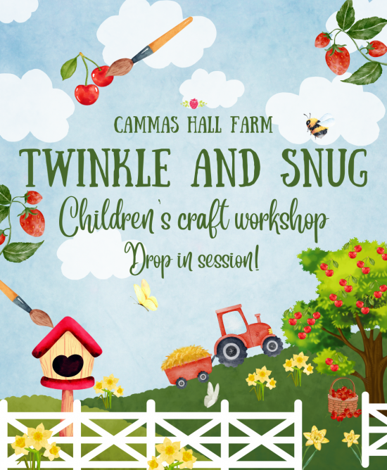Twinkle & Snug - Drop-in Craft Workshop - Cammas Hall Farm - Discover ...