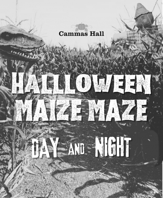 Halloween Maize Maze - Cammas Hall - Discover Uttlesford