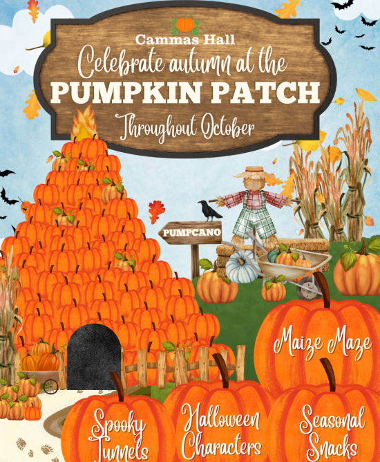 Halloween Pumpkin Patch - Cammas Hall Farm - Discover Uttlesford